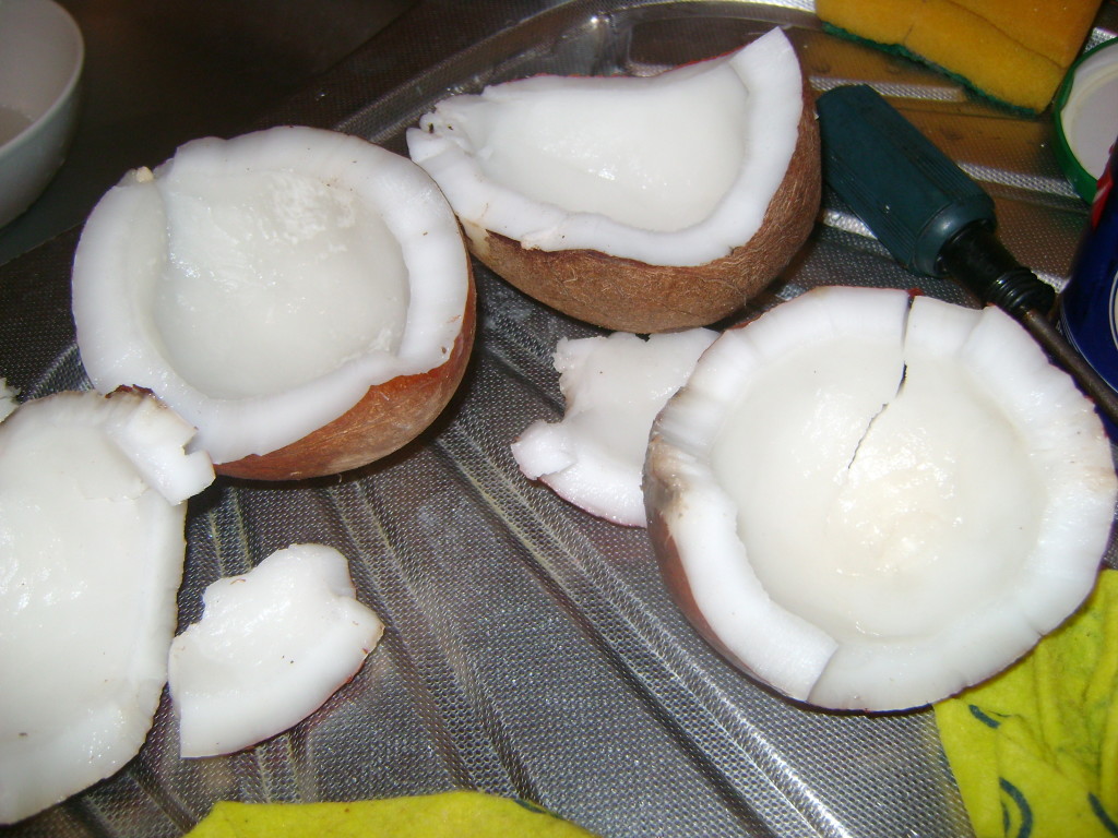 Lapte de cocos făcut în casă - Laura Frunză