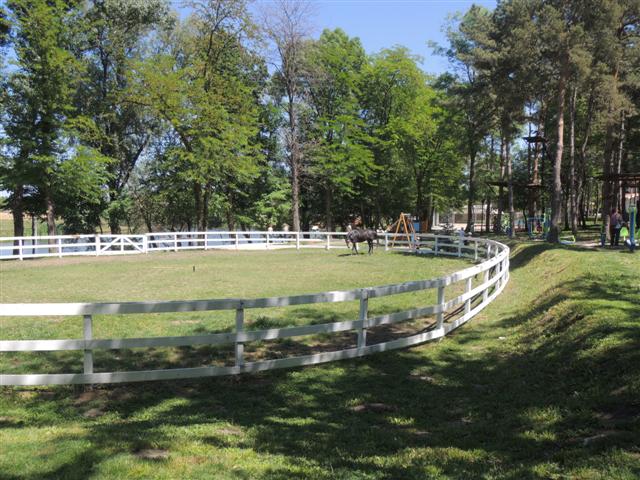 Parcul natural Comana - recomandări de activități - Idei pentru parinti ...