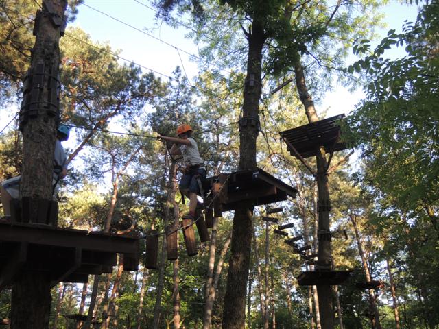 Parcul natural Comana - recomandări de activități - Laura Frunză